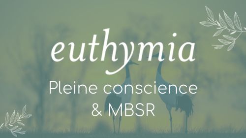 Pleine conscience & MBSR - Euthymia : Euthymia